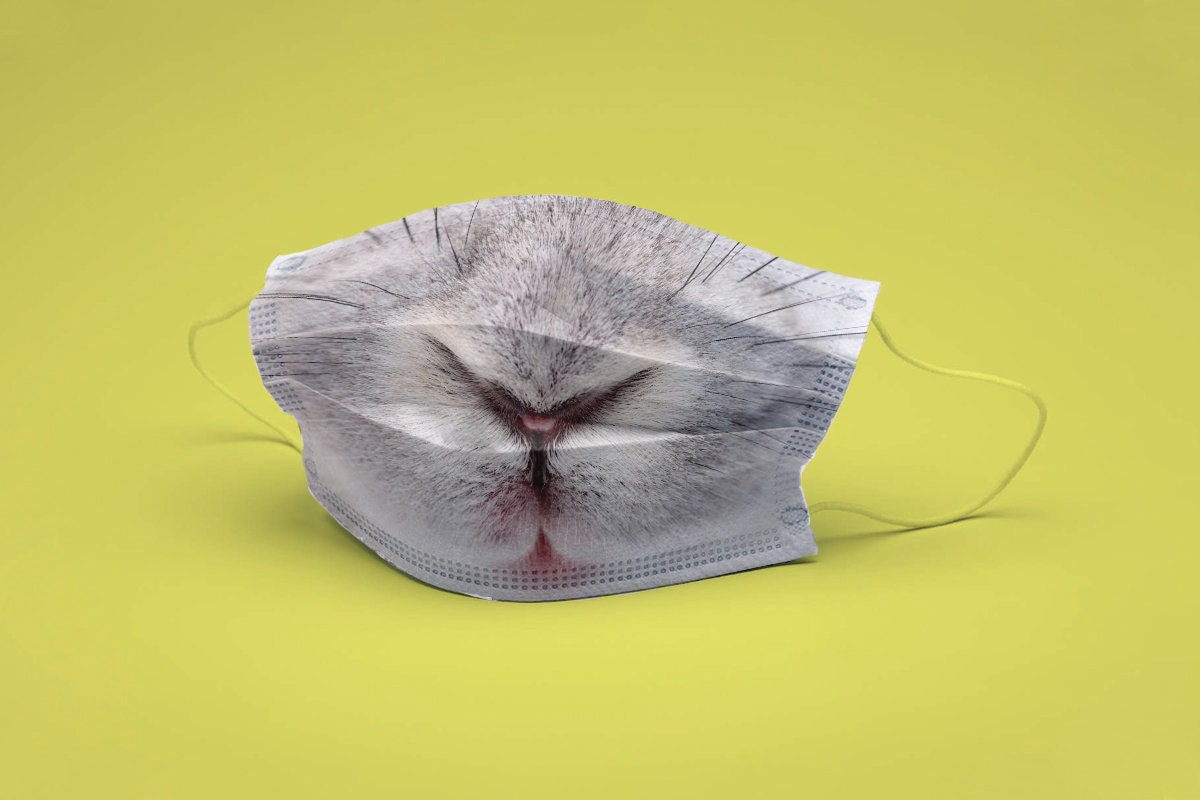 Rabbit Nose Face Mask, Funny Rabbit Face Mask, Washable Face Mask ...