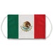 Patriotic Mexico Flag Face Mask, Mexican Flag Face Mask, Face Mask for ...