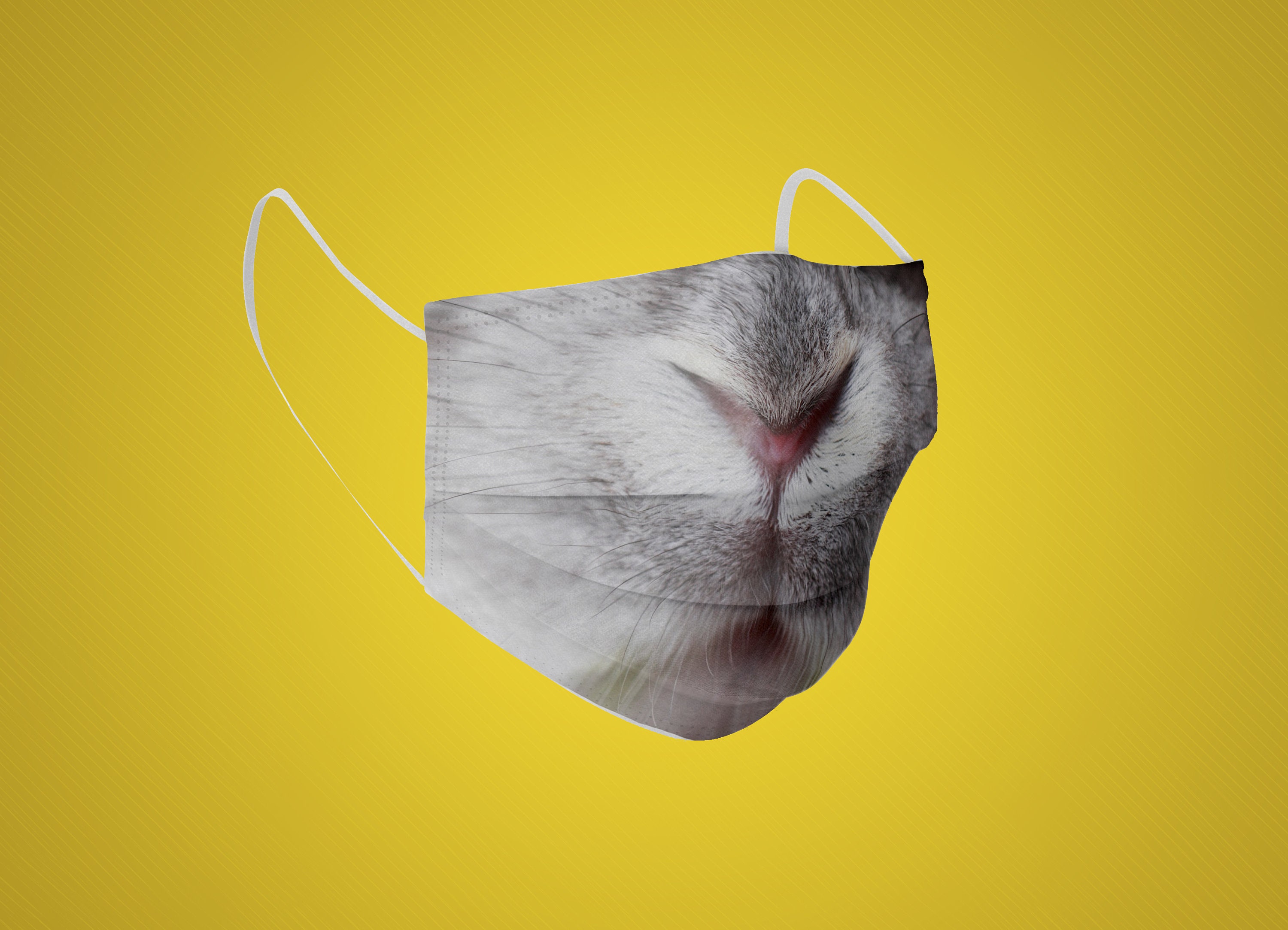 Rabbit Nose Face Mask, Funny Rabbit Face Mask, Washable Face Mask ...