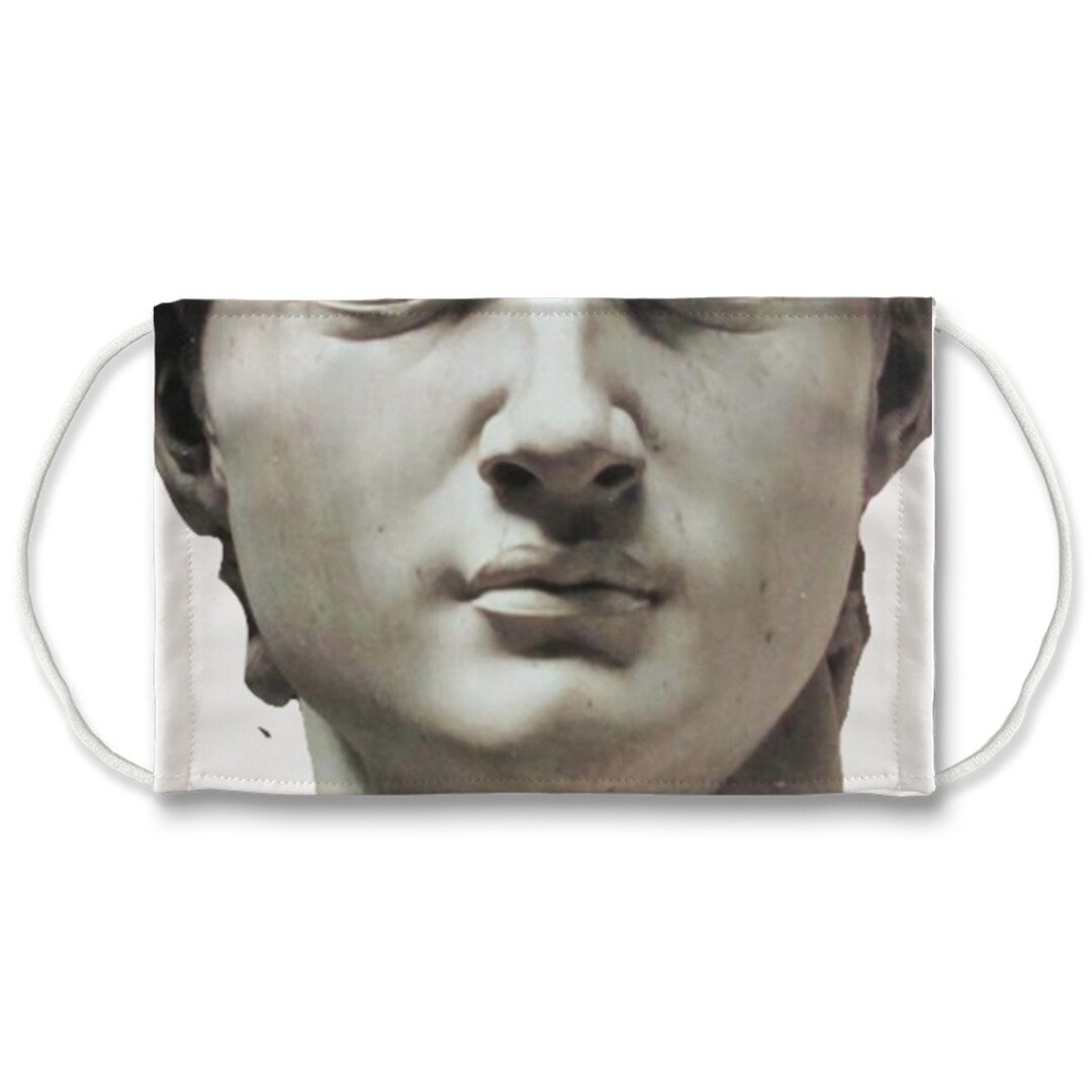 Statue of David Face Mask, Michelangelo, Funny Face Mask, Washable Face ...