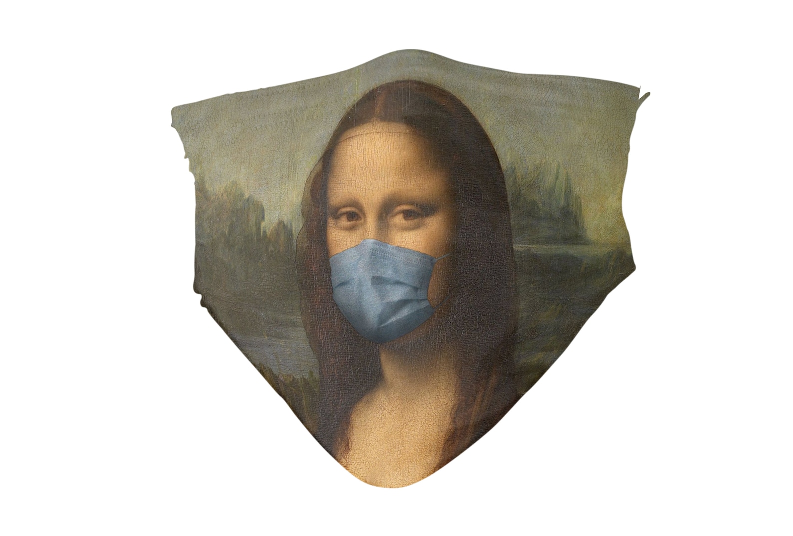 Mona Lisa in Face Mask, Mona Lisa, Leonardo Da Vinci, Funny Meme Face ...