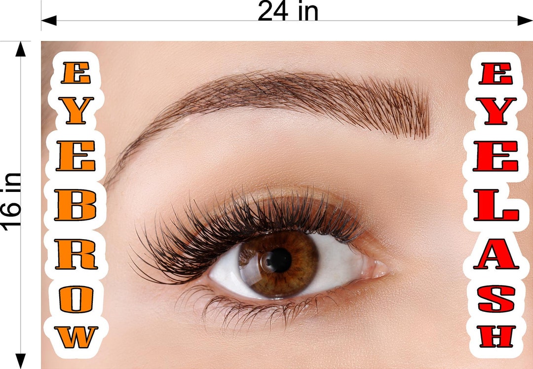 Eyebrows 15 Window Decal Interior/exterior Vinyl Adhesive Front Poster ...