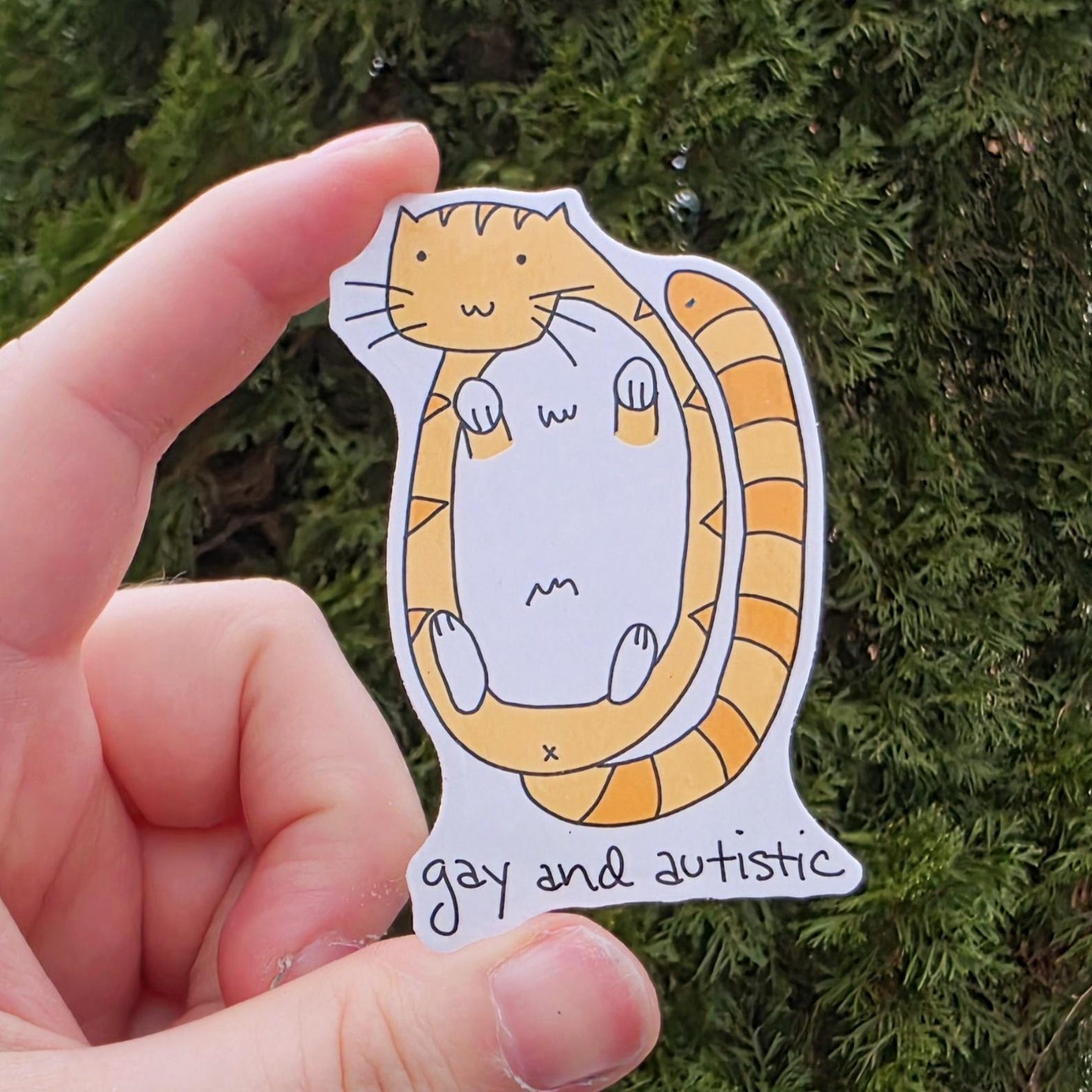 Gay and Autistic Orange Tabby Meme Vinyl Die-cut Sticker - Etsy