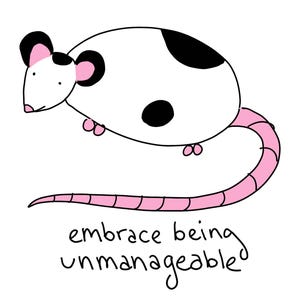 Embrace Being Unmanageable Rat Novelty Meme T-shirt, Sublimation Tshirt ...