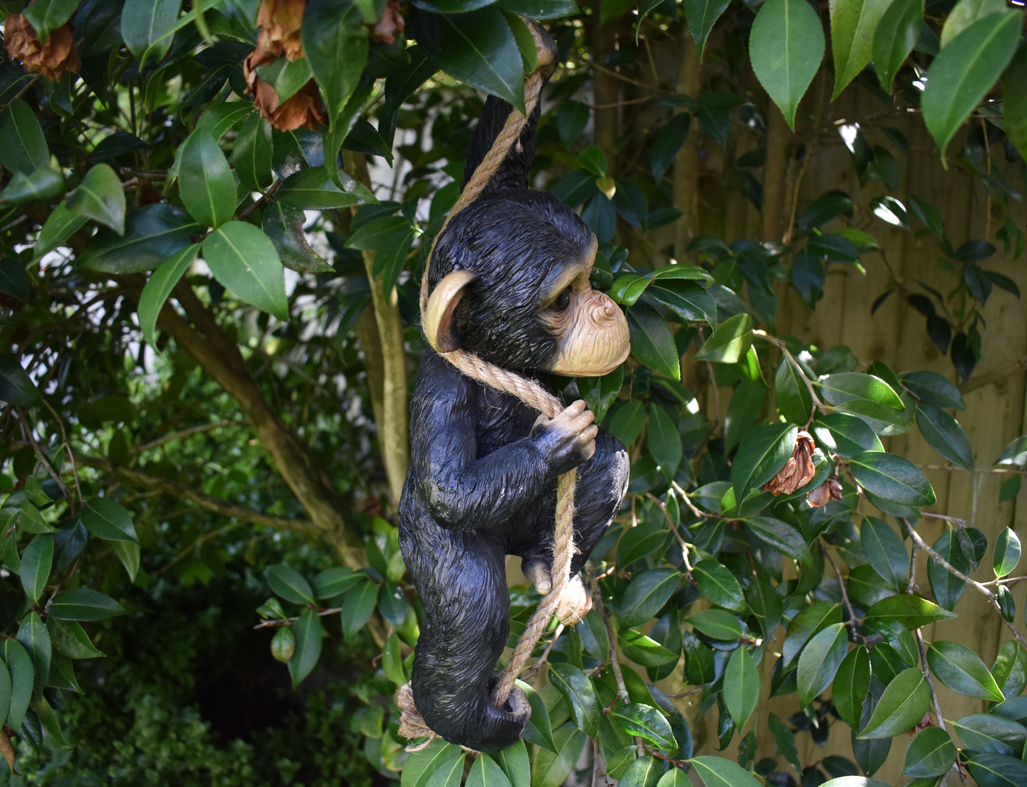 Climbing Monkey Hanging Ape Garden Ornament Tree Hugger - Etsy UK