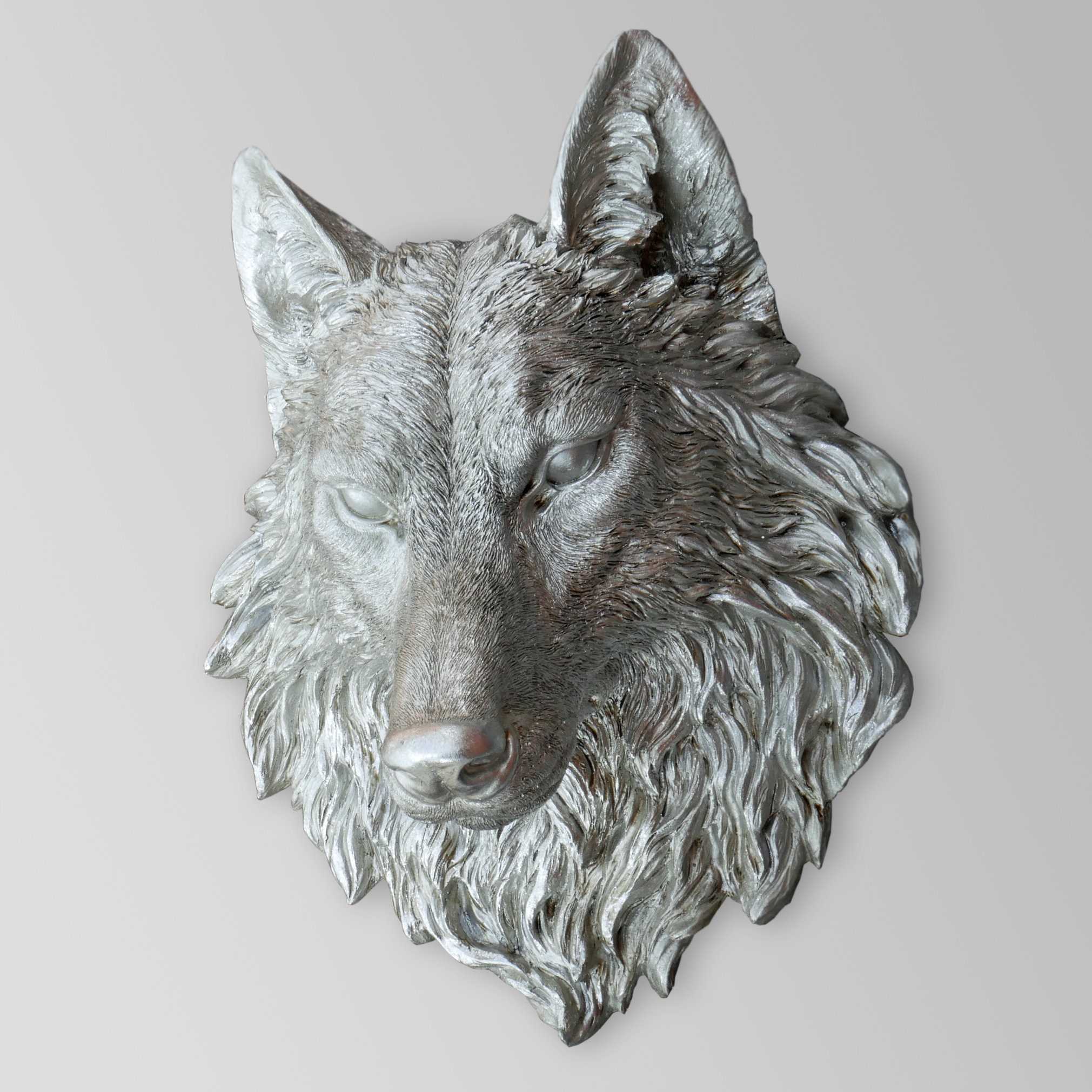 Mounted Wolf Head