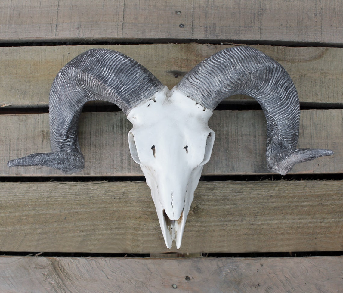 Handmade Ram Skull Large Hanging Wall Sculpture Home Fireplace | Etsy