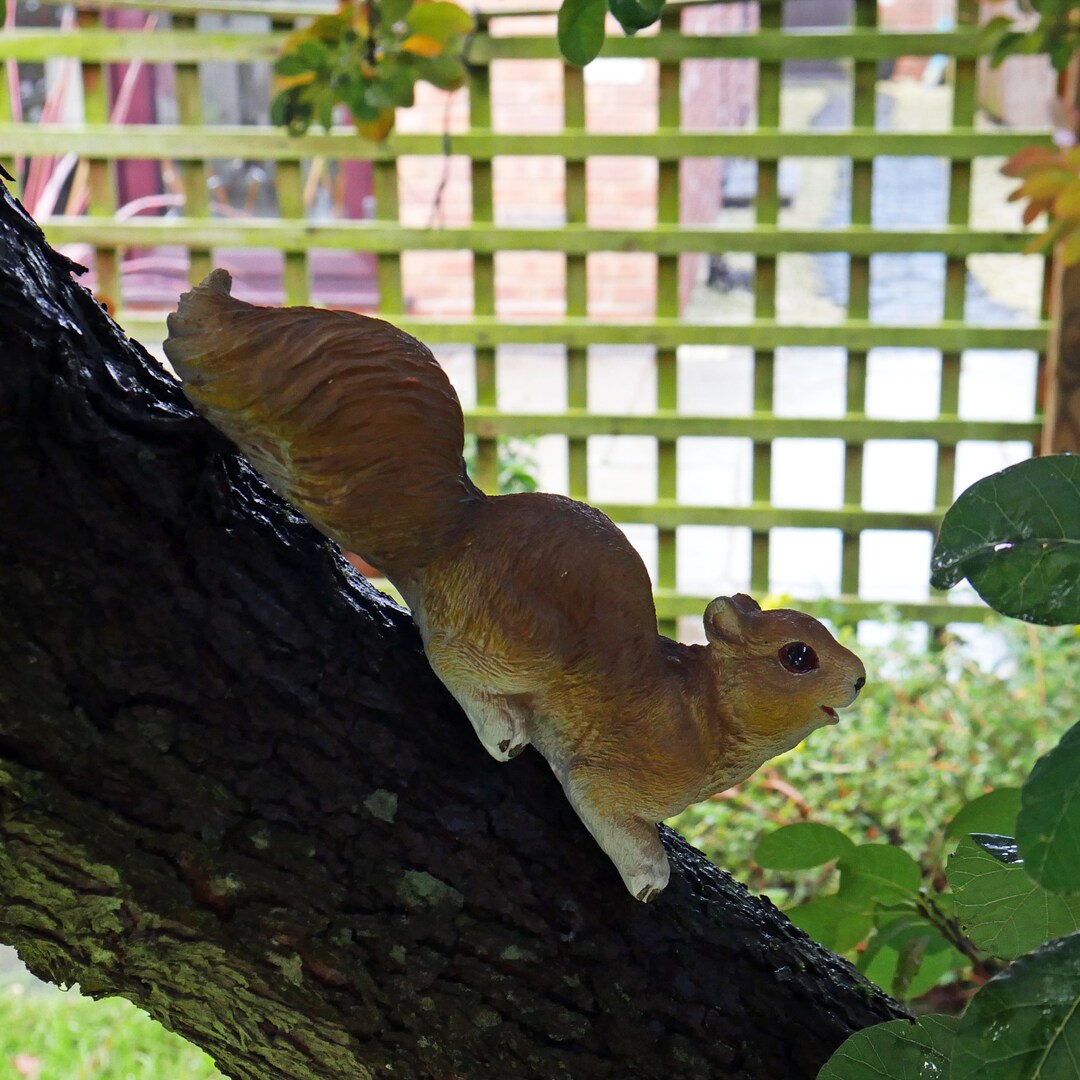 Climbing Red Squirrel Garden Ornament Squirrels Animal Sculpture Home ...