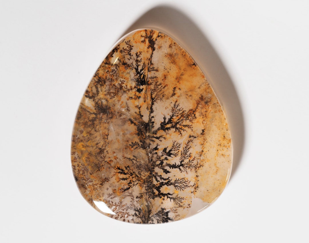 Quartz With Dendrite Inclusions Landscape the Tree and the Forest 27x23 ...