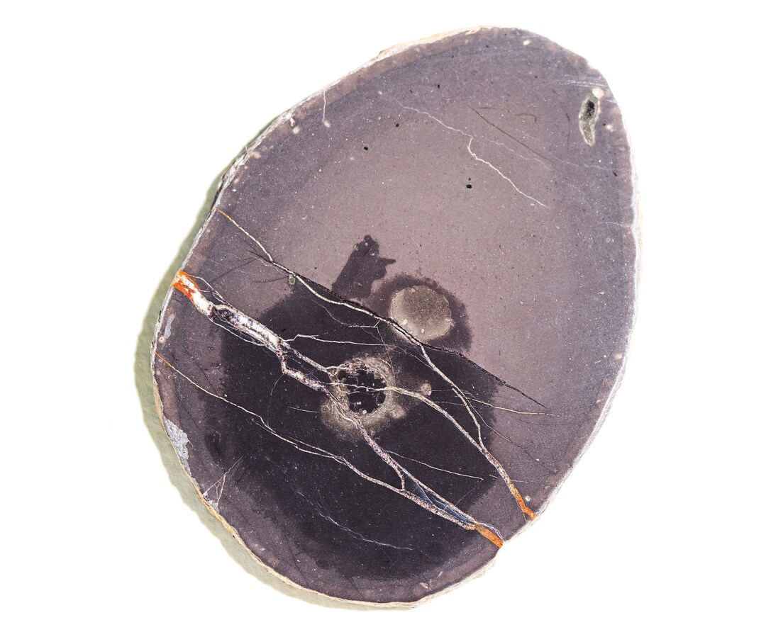 Pyrite Nodule in the Pyrite Shale-schist of Hérault-france 14 X 8 Cm ...