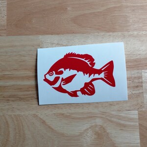 Bluegill Vinyl Fishing Decal Sticker Boat Decal Tournament Fishing ...