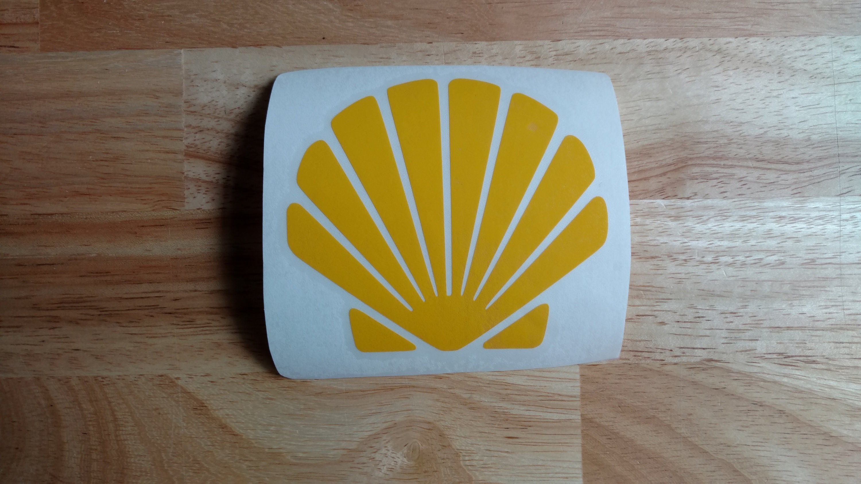 Seashell Vinyl Decal 22 Colors and 8 Sizes to Choose Sticker - Etsy