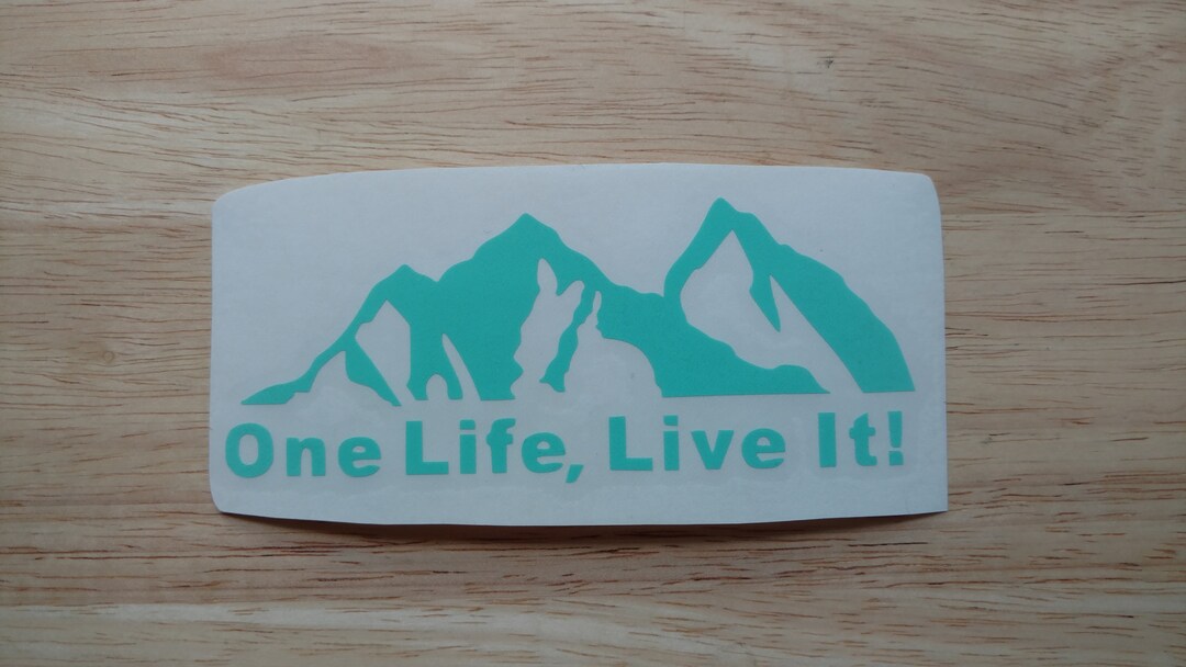 One Life Live It Vinyl Fishing Decal Sticker 14 Sizes 22 Colors to ...