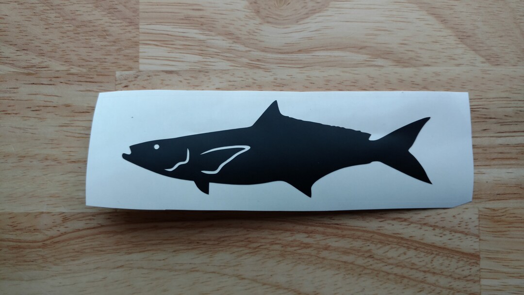 Cobia Fishing Vinyl Decal 22 Colors and 11 Sizes to Choose Sticker ...