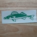 Walleye Vinyl Fishing Decal Sticker Boat Decal Tournament Fishing Kayak ...