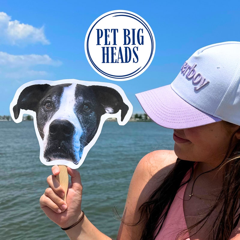 Pet Photo Prop - Etsy