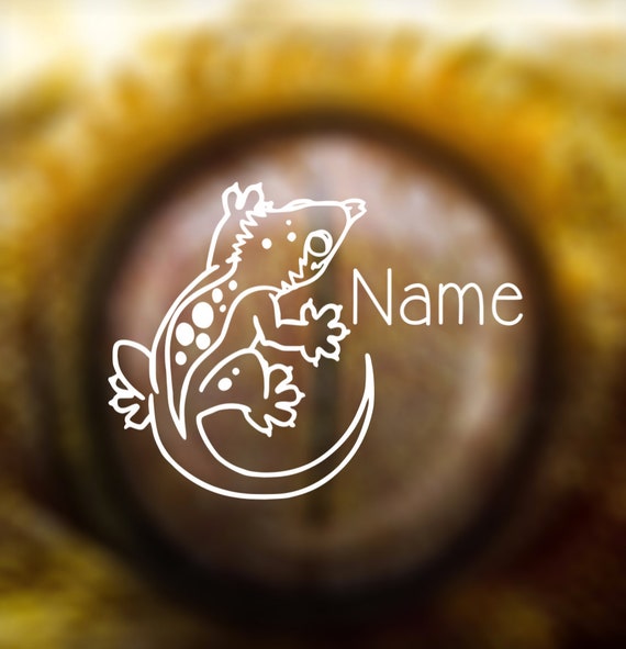 Crested Gecko Custom Name Decal | Etsy