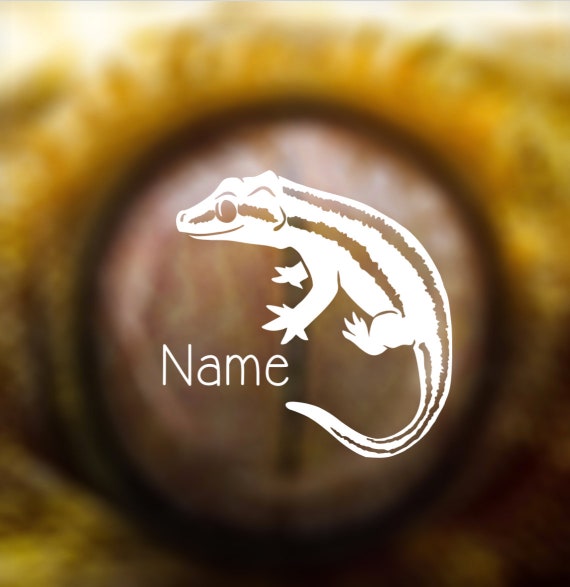 Gargoyle Gecko Custom Name Decal | Etsy