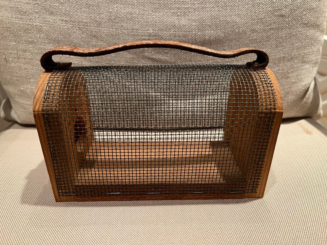 Vintage Insect Carrier With Leather Strap - Etsy