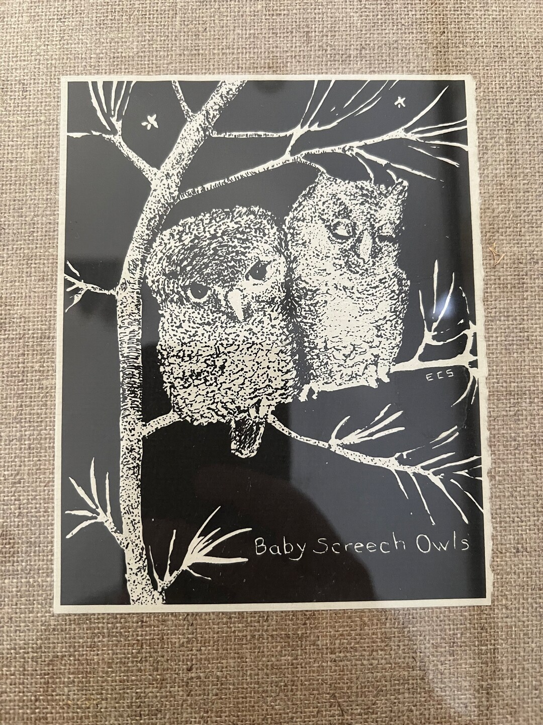 Vintage baby Screech Owls Wood Framed Print / Signed Artist ECS ...