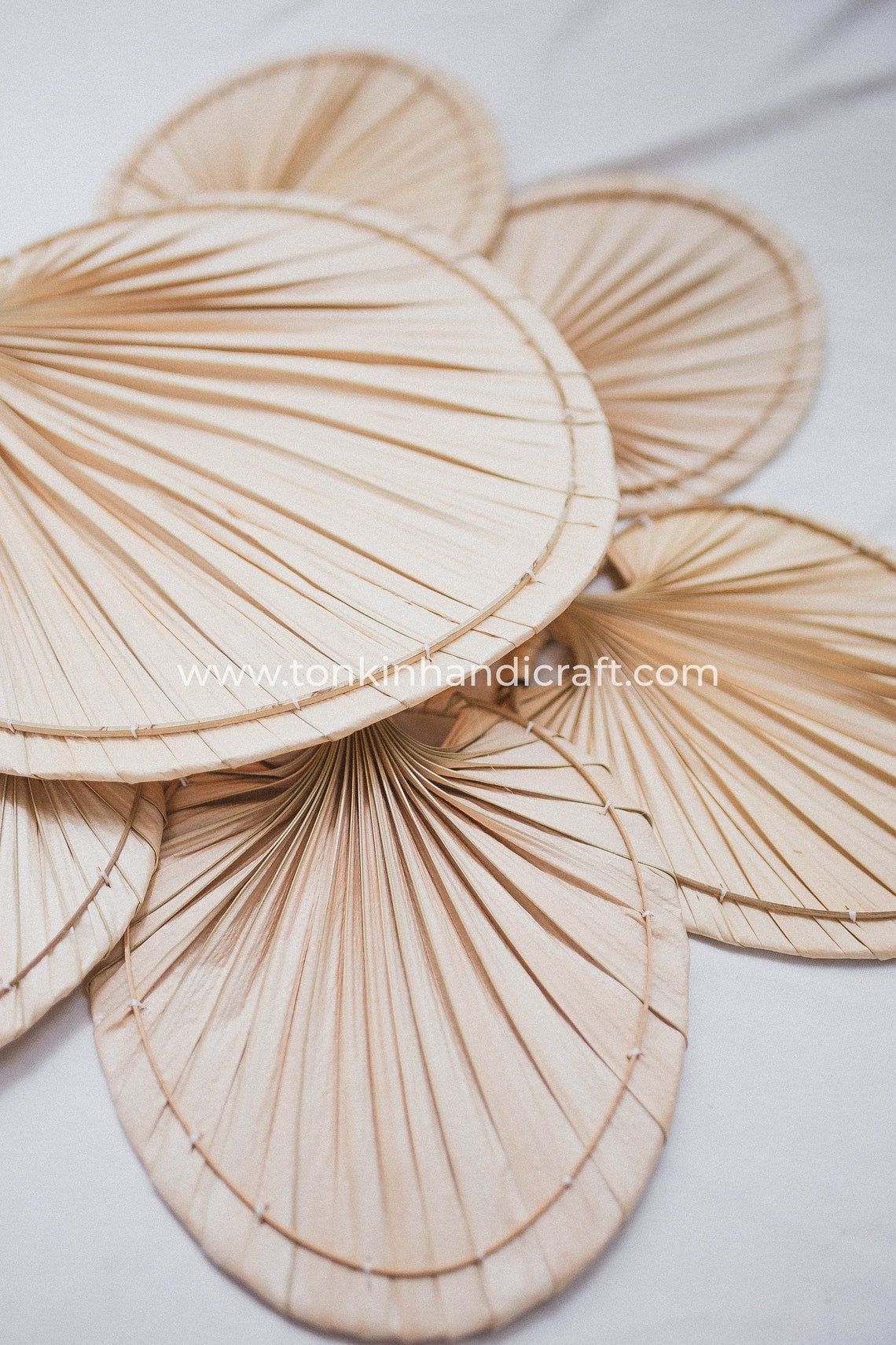 Set of 6 Palm Dried Fans, Wall-hanging Fans, Woven Fan, House ...