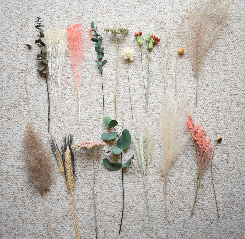 DIY Dried Flower Kit coral Fire. Table Decor - Etsy