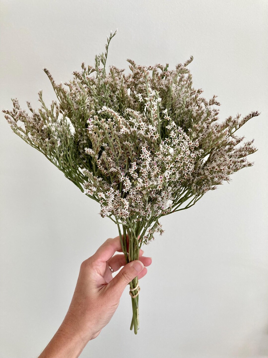 Dried German Statice 2oz Bunch, White Dried Flowers for Weddings ...