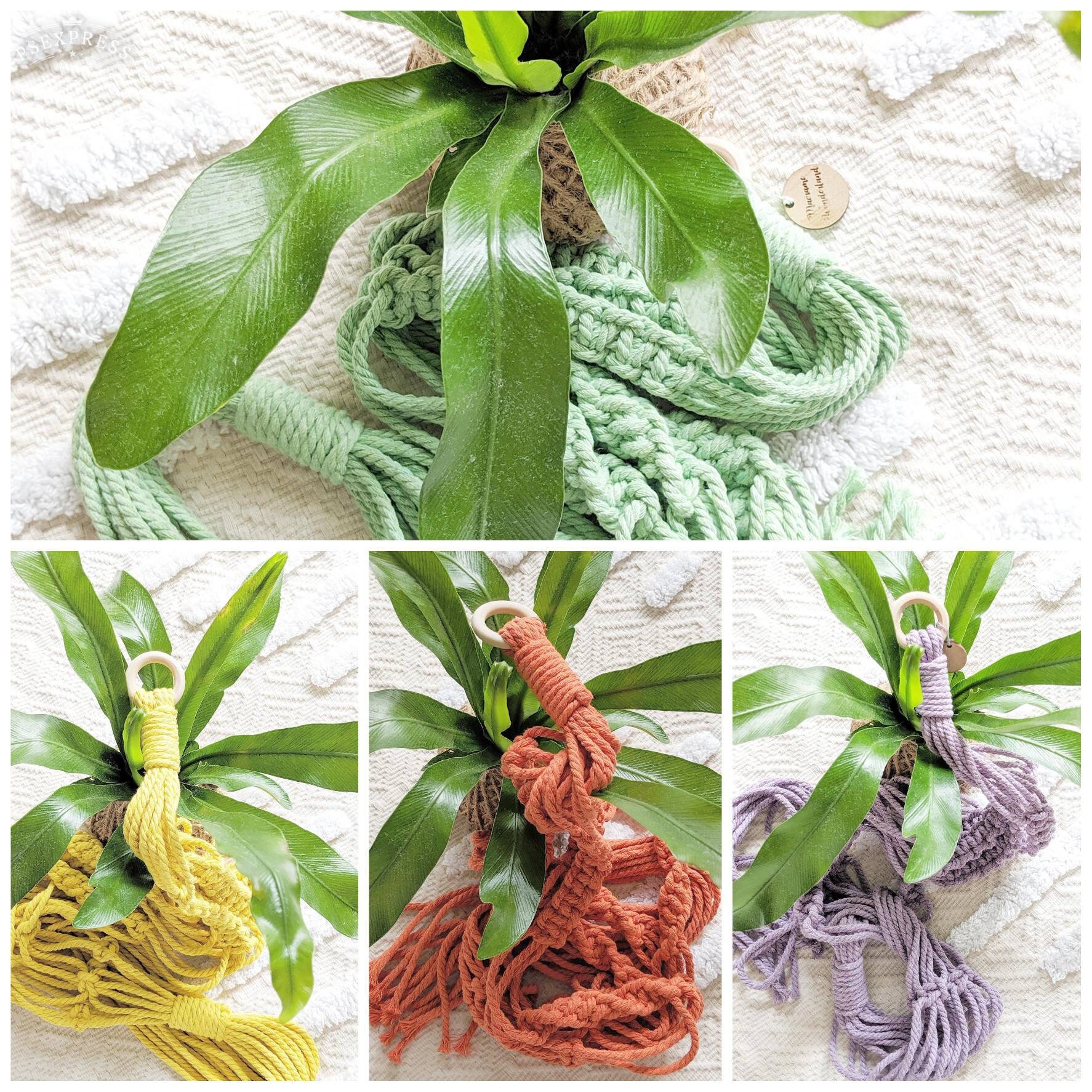 Macrame Plant Hangers Various Colours Small Large or Duo | Etsy