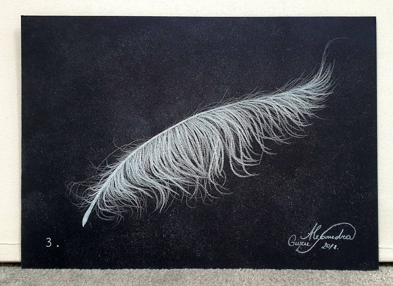 White Pastel Feathers on Black Paper Original Design - Etsy