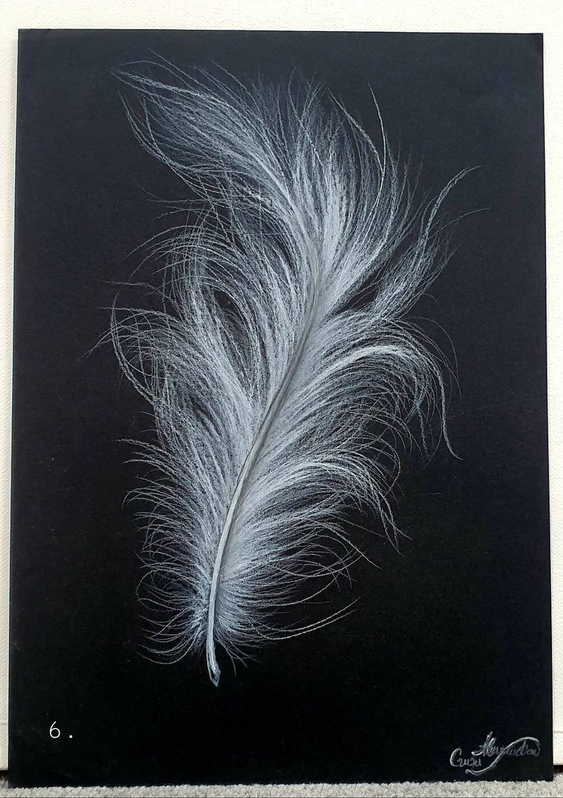 White Pastel Feathers on Black Paper Original Design - Etsy