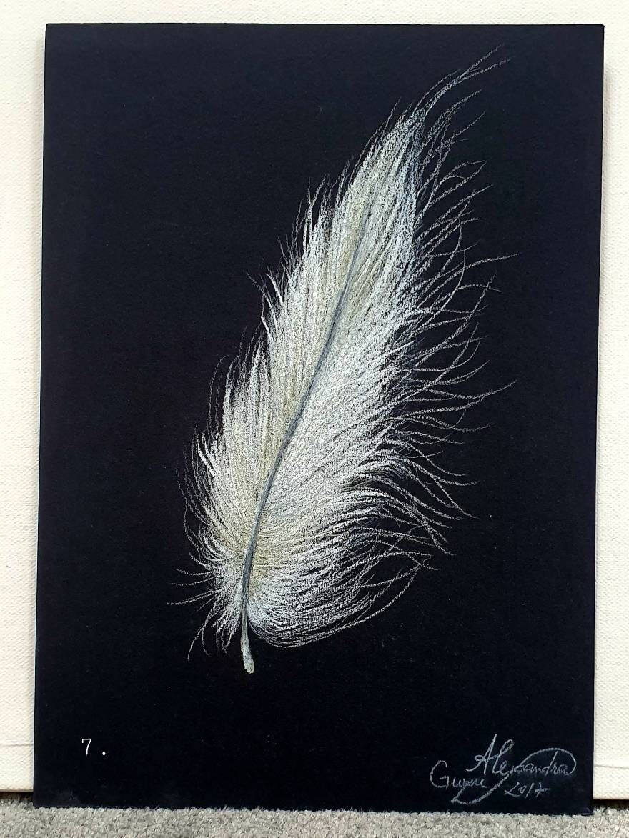 White Pastel Feathers on Black Paper Original Design - Etsy