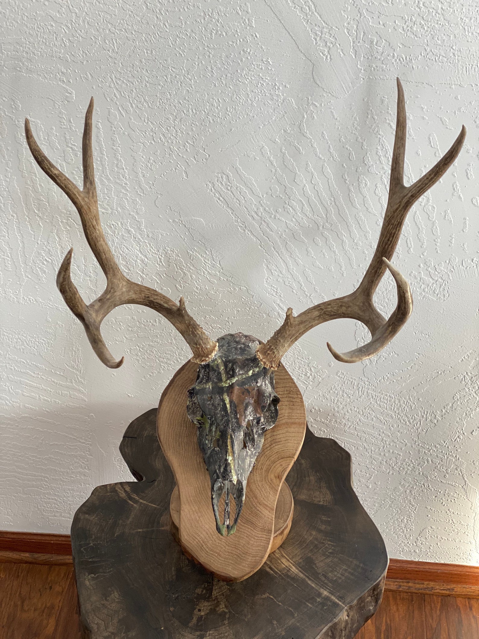European Skull Antler Mount Pedestal made from our Fallen | Etsy