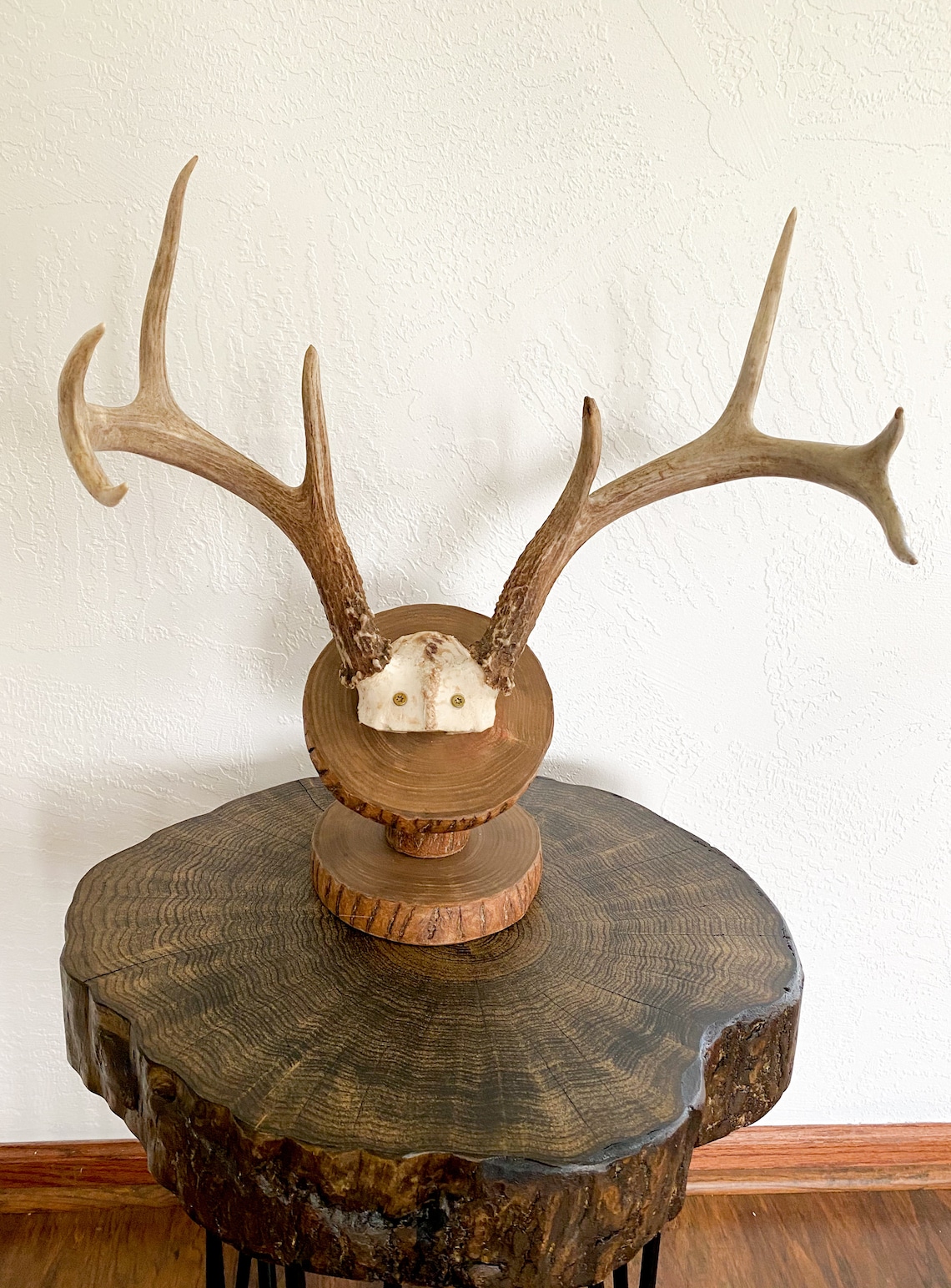 Deer Antler Mount Pedestal Made From Our Fallen Trees - Etsy