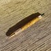 Gold EDC Click Pen - Etsy