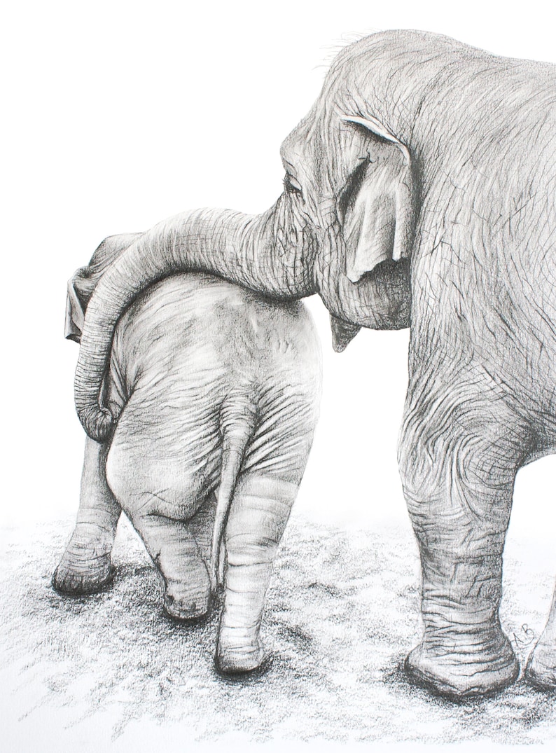 Motherly Love Elephant Drawing Limited Edition Print - Etsy