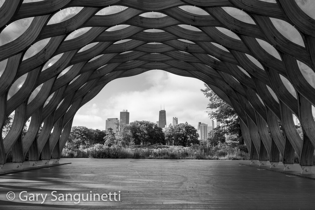 Chicago Photography Print of the Honeycomb view of the Chicago skyline ...