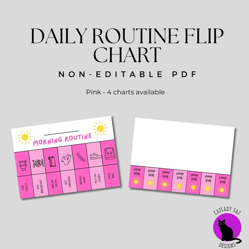 Pink Daily Routine Flip Chart: Toddler Visual Schedule (non-editable ...