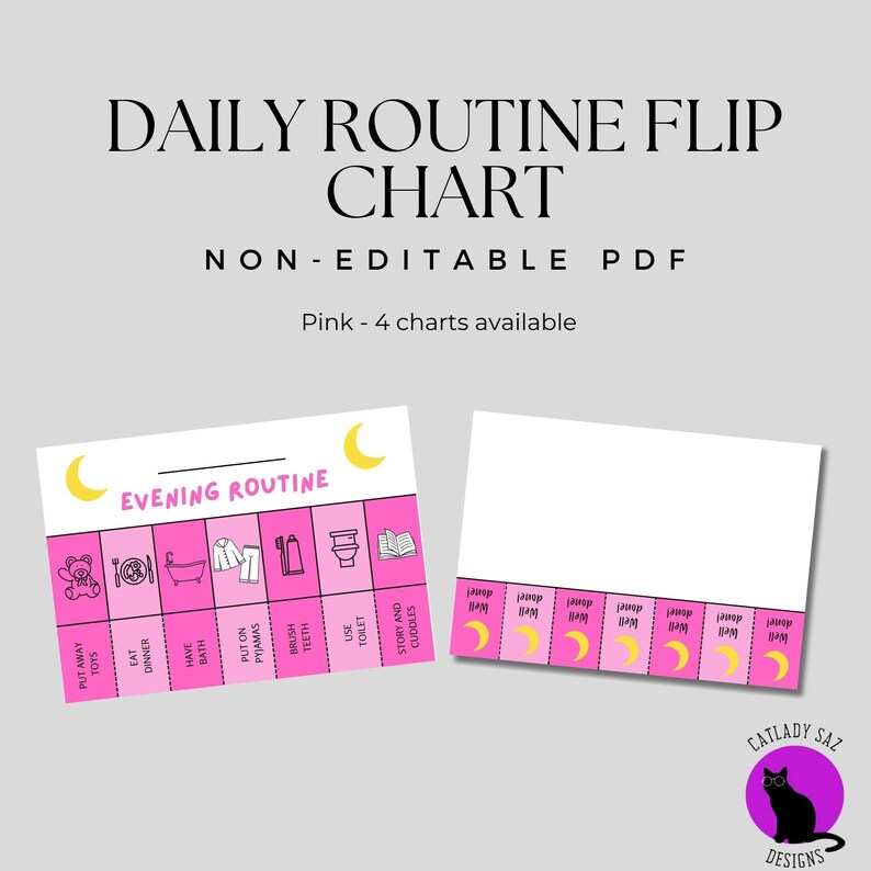 Pink Daily Routine Flip Chart: Toddler Visual Schedule (non-editable ...