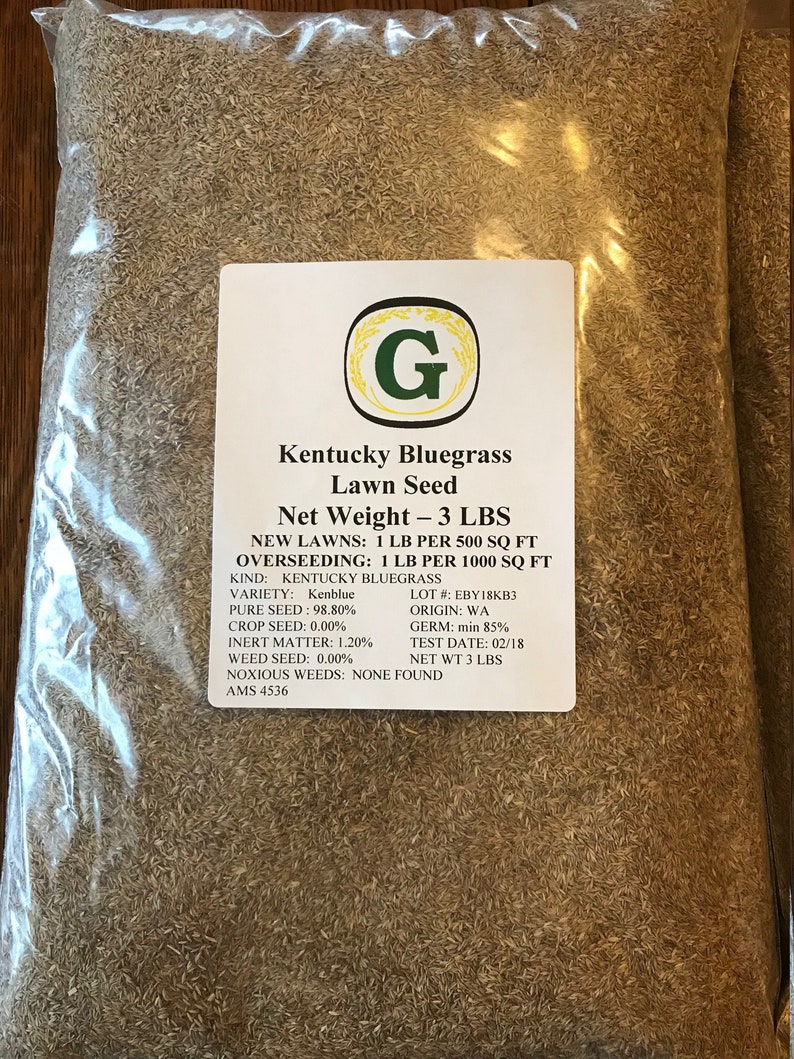 Kentucky Bluegrass Seed - 6 Lbs. per Order, No Fillers, Quality Seed ...