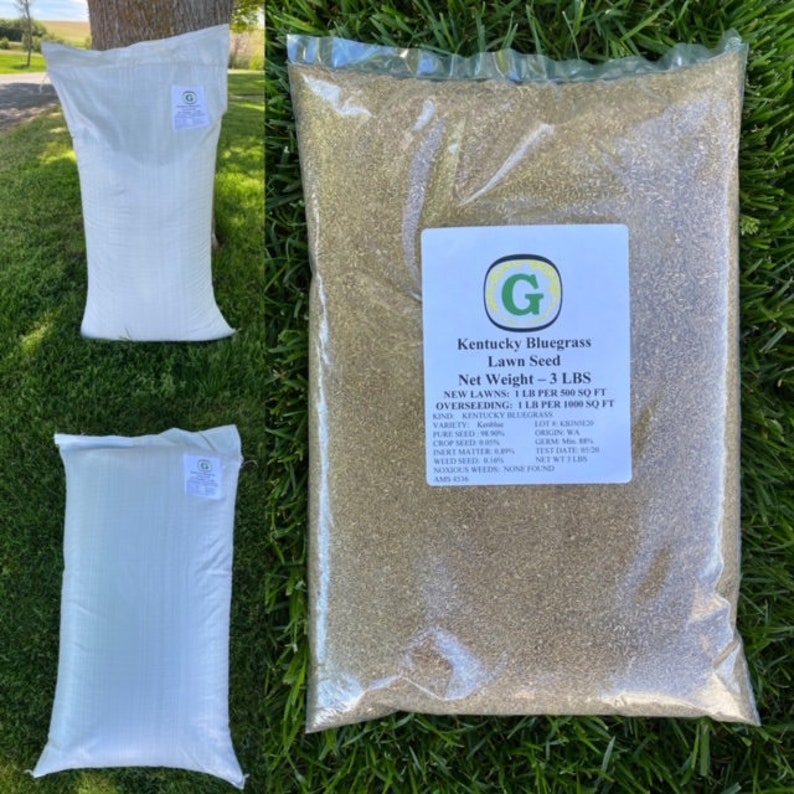 Kentucky Bluegrass Seed - 6 Lbs. per Order, No Fillers, Quality Seed ...