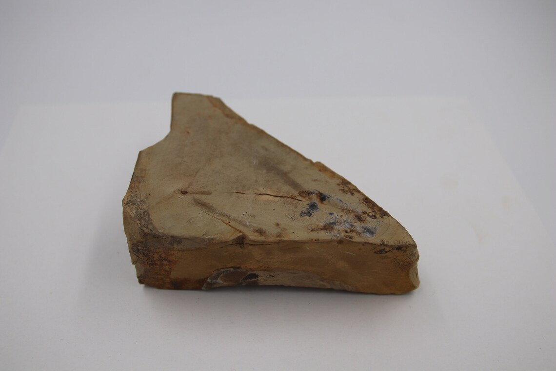 Detailed Leaf Compression Fossil - Etsy Sweden