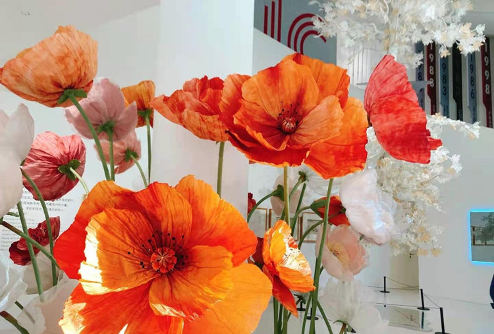 Free Standing Large Paper Flower Set Spring/summer Window | Etsy Canada
