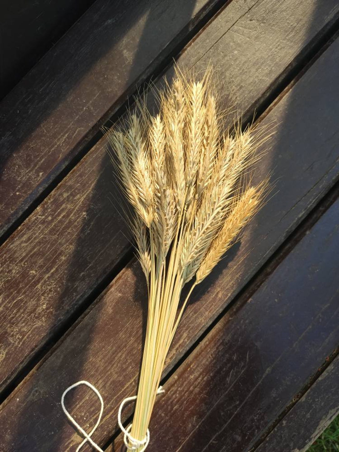 Dried Rye Bundle - Etsy