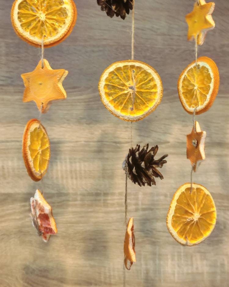 Hanging Citrus Decoration Garland Decoration - Etsy