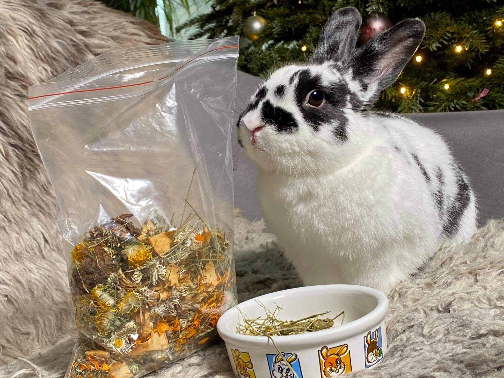 Rabbit Food Dried Natural Grass and Flowers Selection Bunny - Etsy