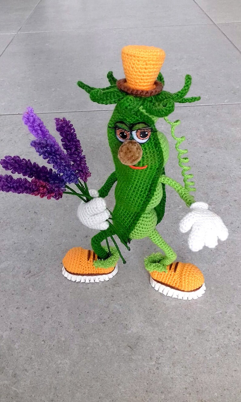 Mr. Pea Pattern in English Crochet Tutorial Amigurumi | Etsy