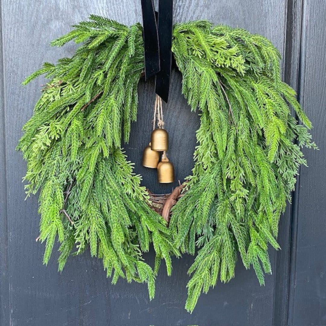 Norfolk Pine Wreath for Christmas, Real Touch Norfolk Cypress Wreath ...