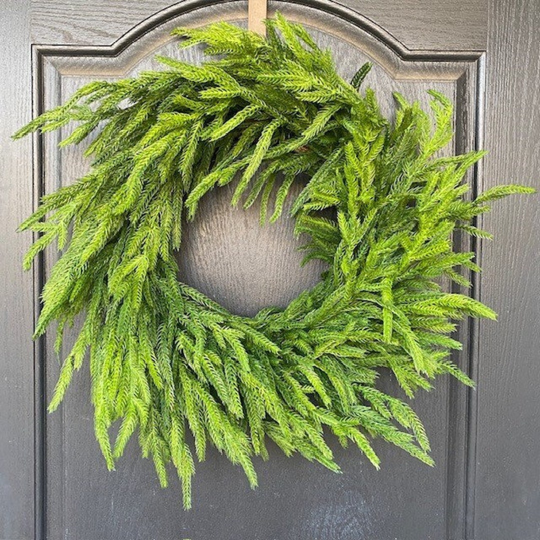 Norfolk Pine Wreath for Christmas, Real Touch Norfolk Pine Wreath ...