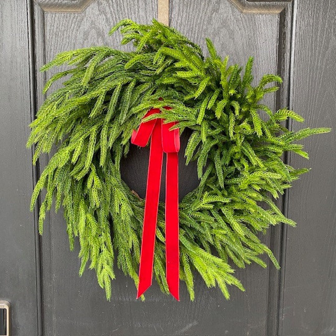 Norfolk Pine Wreath for Christmas, Norfolk Wreath, Large Christmas ...