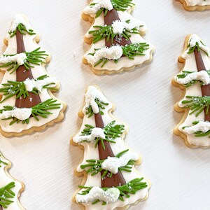 Wintery Pine Sugar Cookies! - Etsy